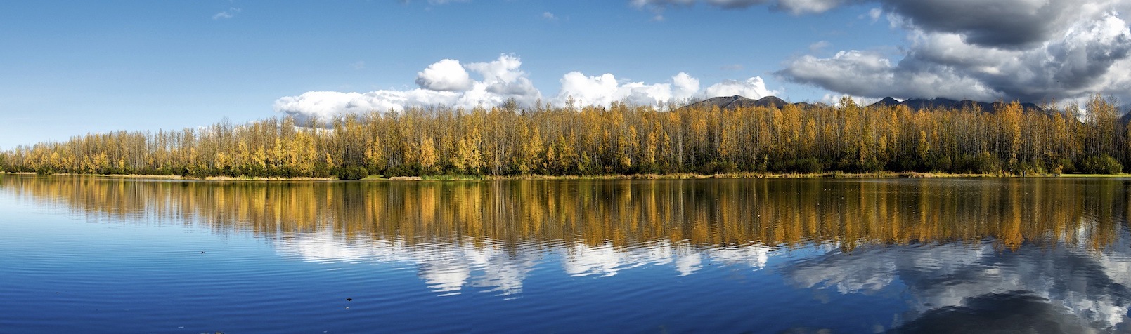 The Story of Chugach: An Interview with Superintendent Dr. Bob Crumley ...